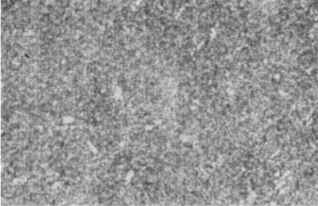 高温轴承钢（Cr4Mo4V）碳化物相的研究_ 轴承材料 -佰联轴承网--中国专业轴承行业网站,始于1999年！